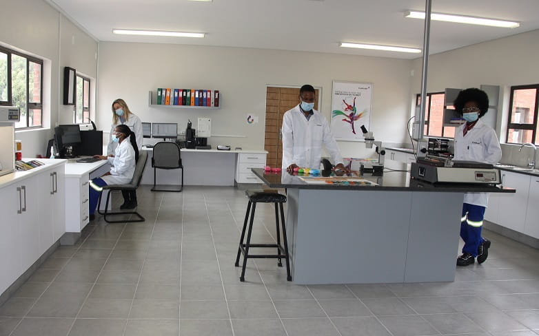 Clariant expands pigments laboratory for the African market - News and ...