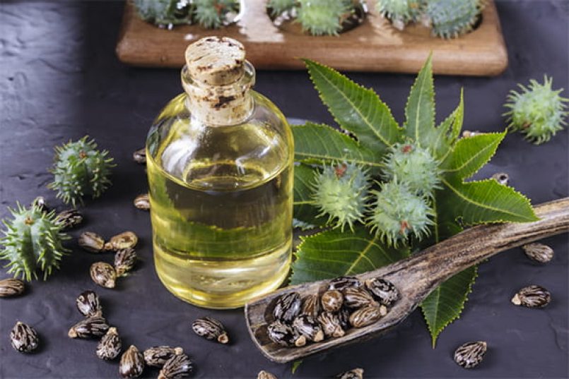 Castor oil-based omniphobic polyurethane coatings - News and insights ...