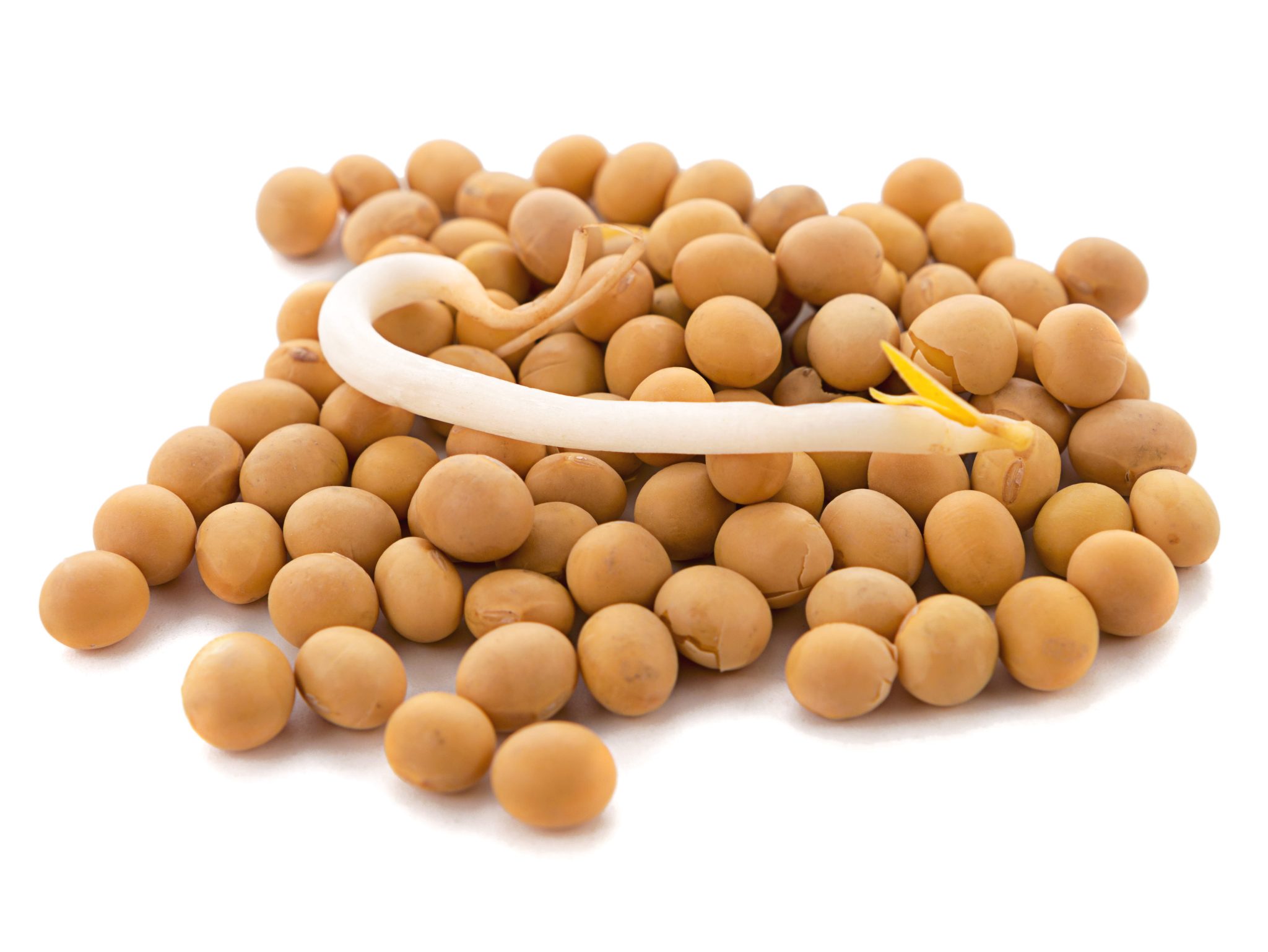 Fully organic coating system modified with epoxidised soybean oil ...