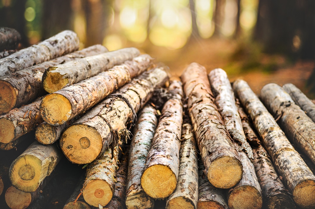 Advances in superhydrophobic coatings for wood composites - European ...